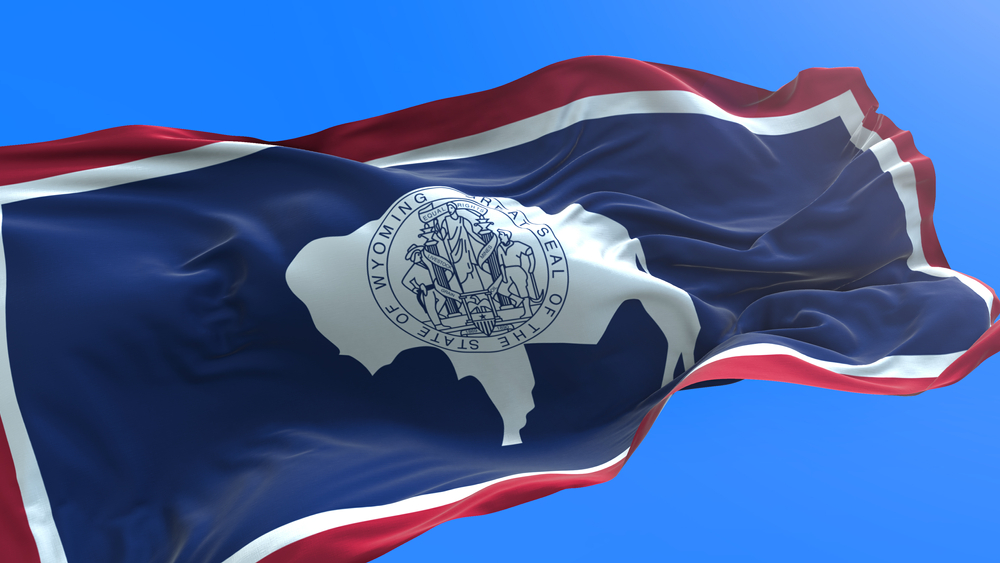 Interested spectator to devoted fighter; Tom Konesky's POWERFUL COS ...