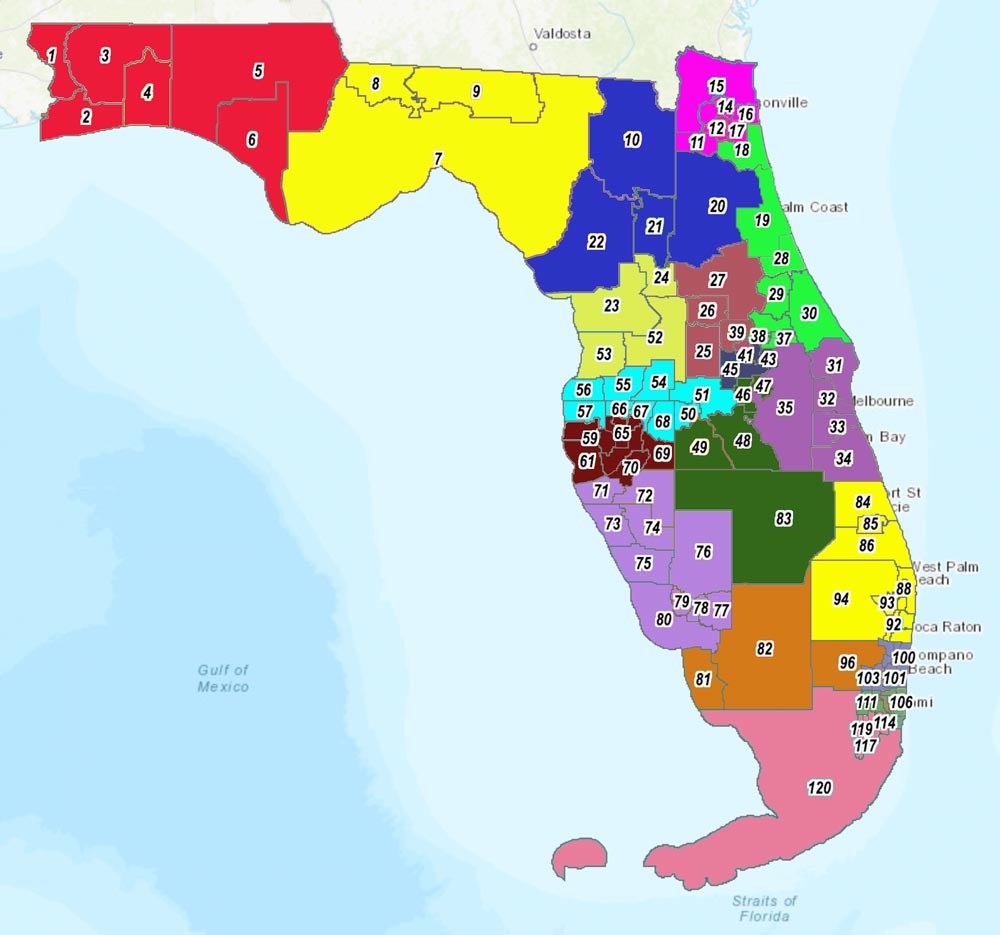 How the COS Structure Supports Our Grassroots Army - COSAction