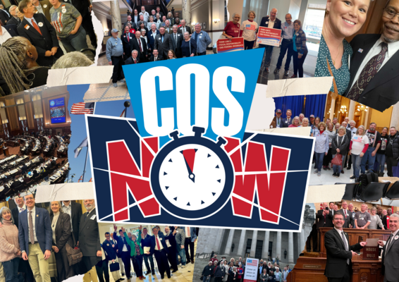 WATCH: COS activists champion election integrity - COSAction